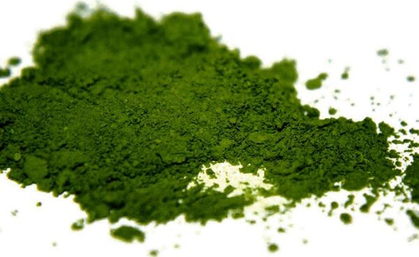 8. Clorofilas - INGAD